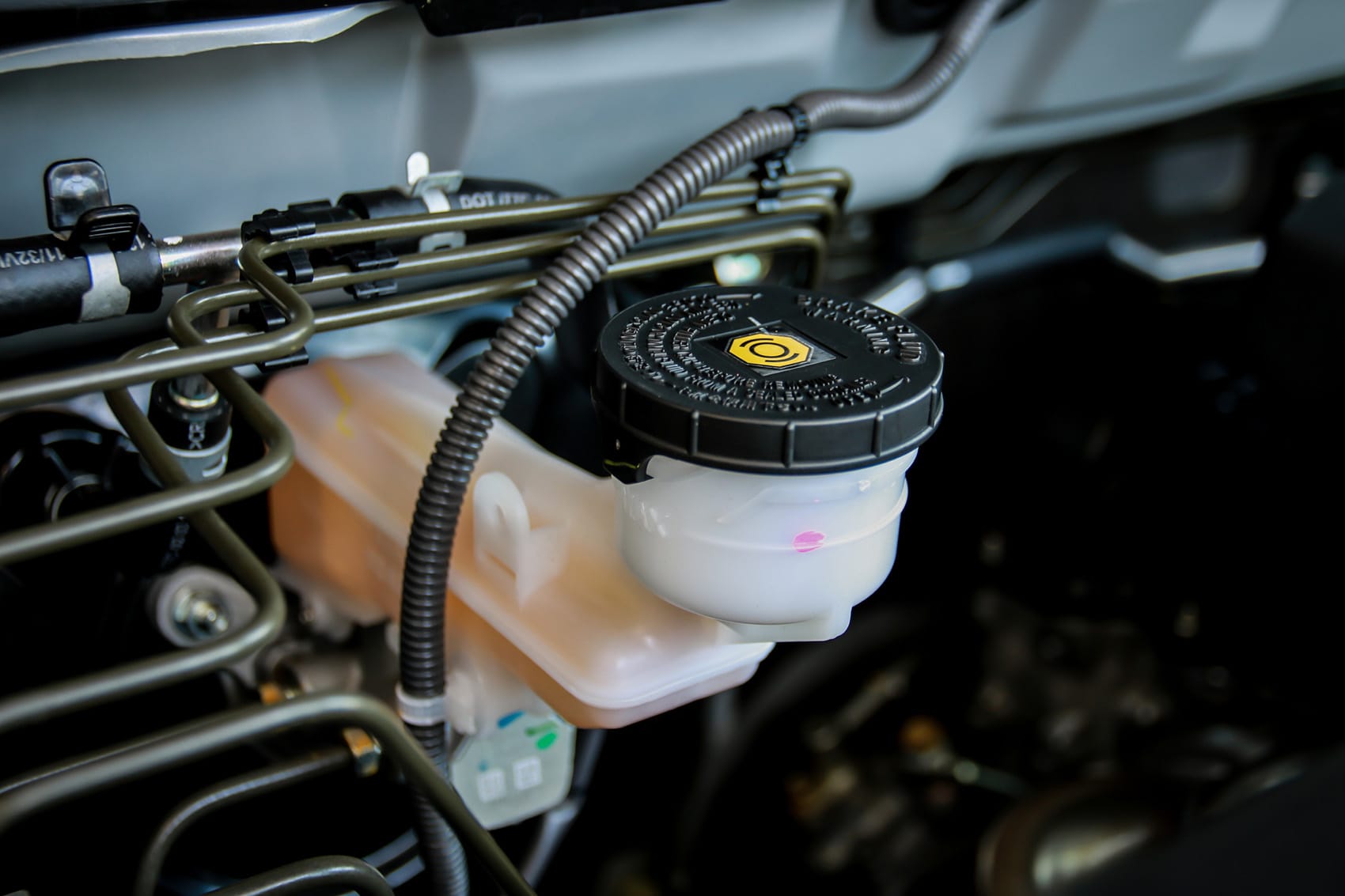 Flushing Brake Fluid Cost Importance And Investment G G Auto Repair Flushing Brake Fluid Cost Importance And Investment G G Auto Repair